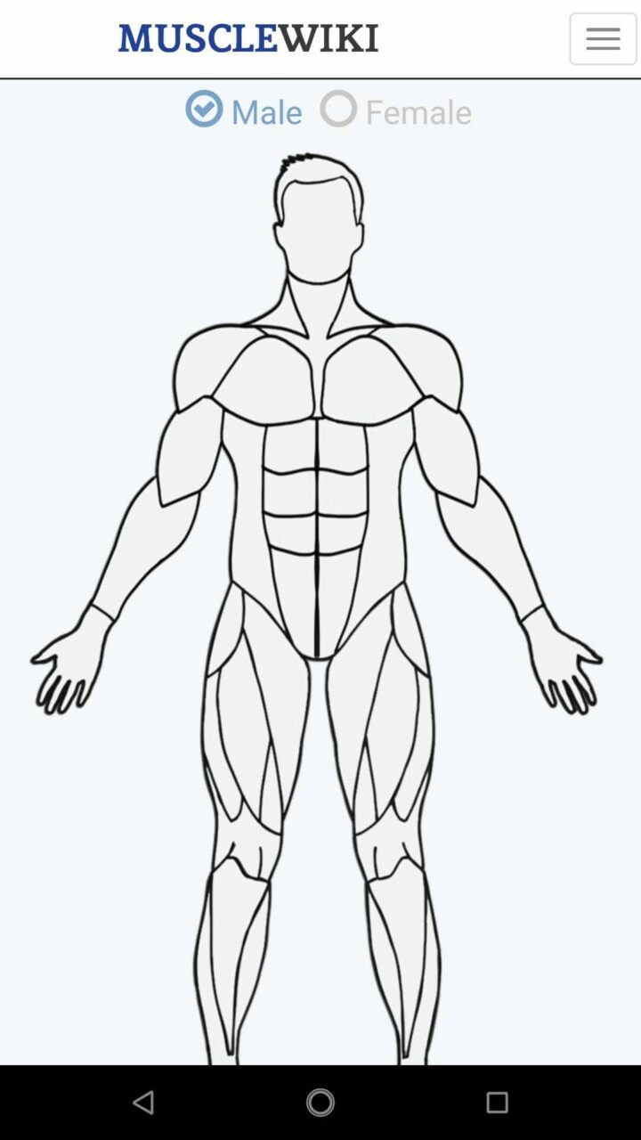 MuscleWiki Fitness, il personal trailer formato app per Android